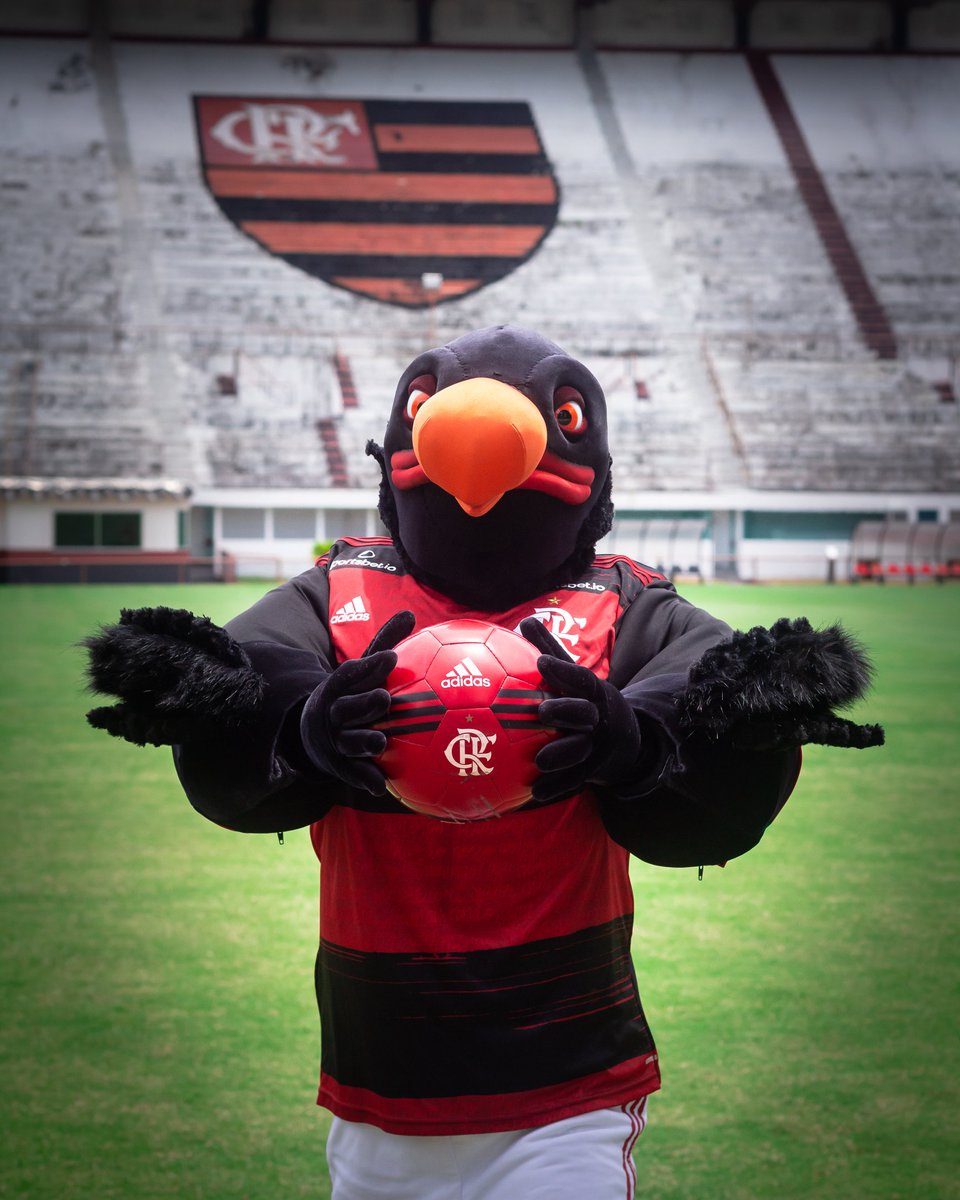Mascote do Flamengo - NossoFla